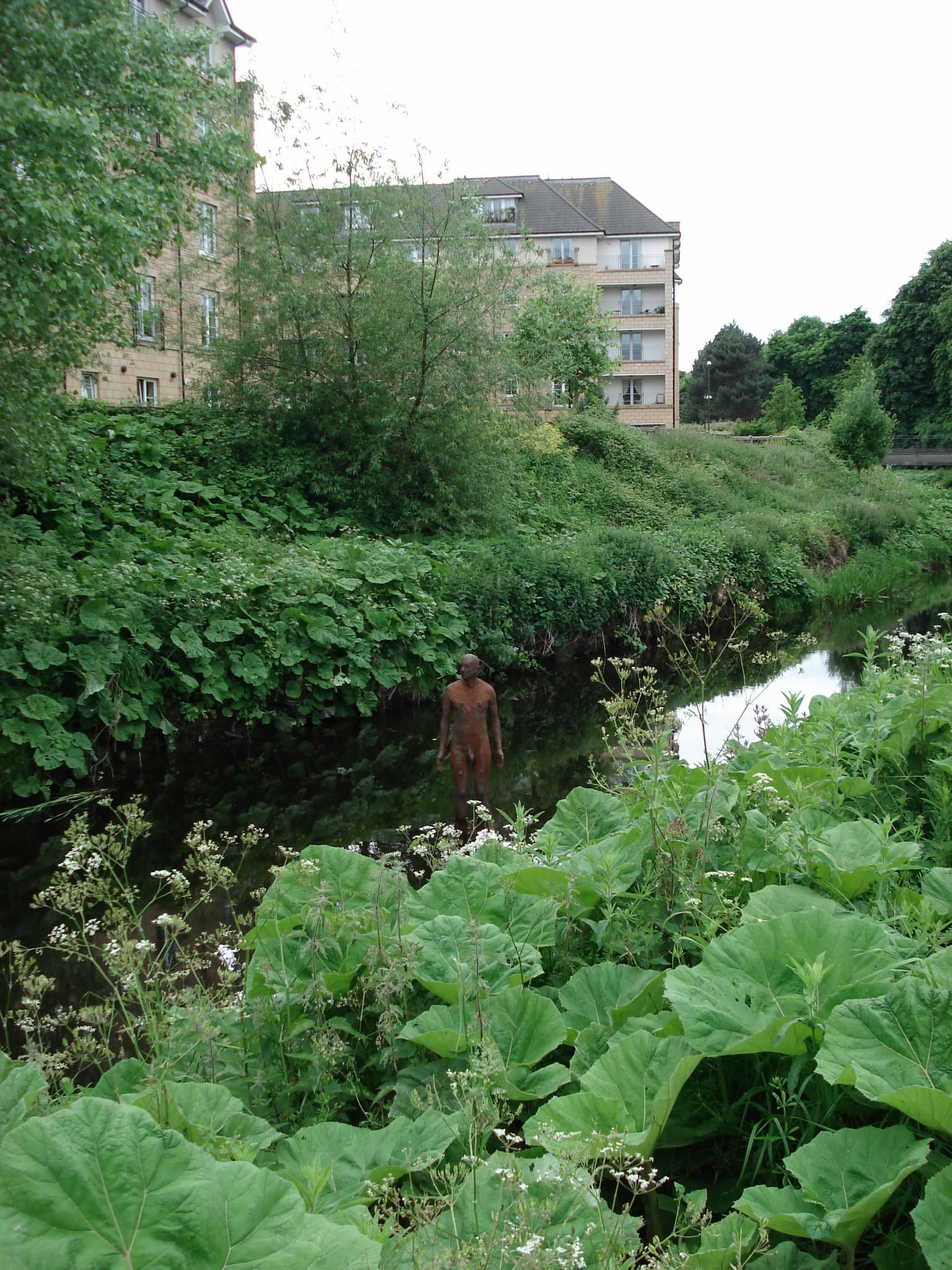 St. Mark's Park Trail Step » Audio Trail » The Water of Leith ...