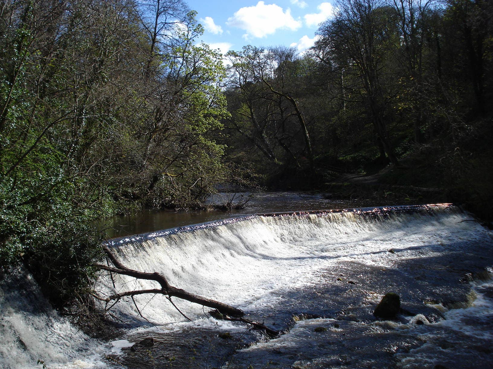 Redhall Trail Step » Audio Trail » The Water of Leith Conservation Trust