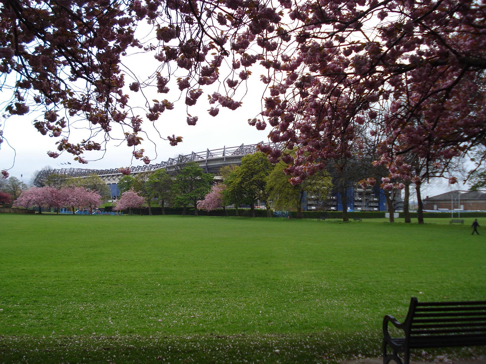 Roseburn Park Trail Step » Audio Trail » The Water of Leith ...