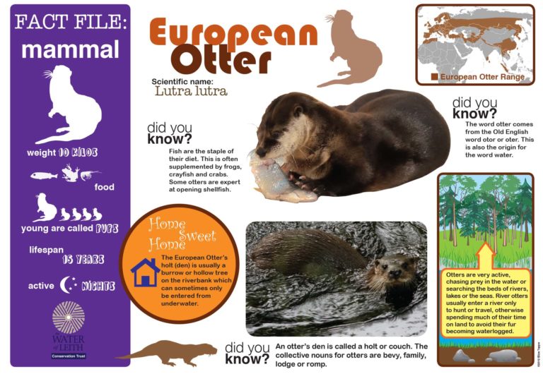 Wildlife » The Water of Leith Conservation Trust