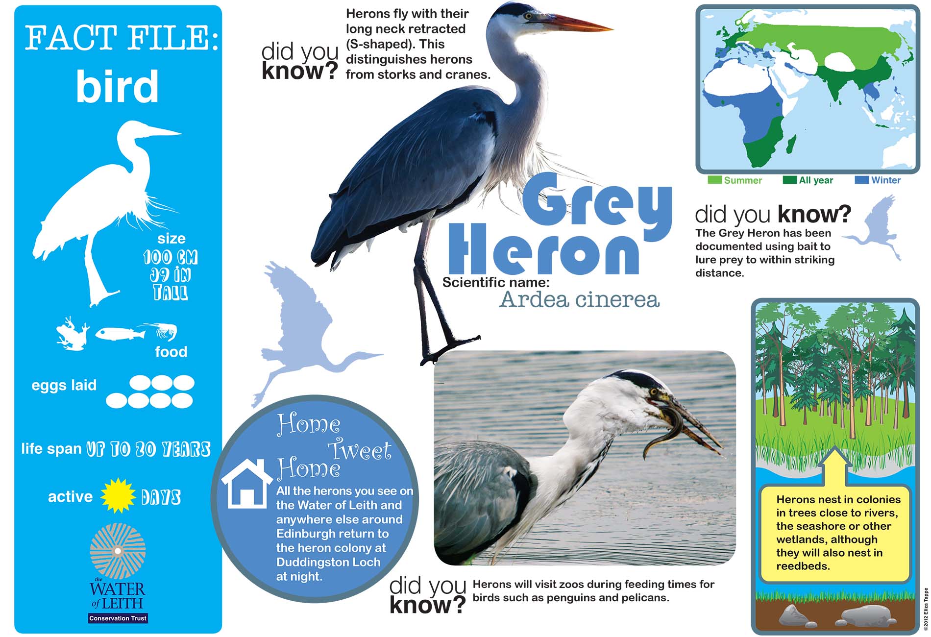 Wildlife » The Water of Leith Conservation Trust