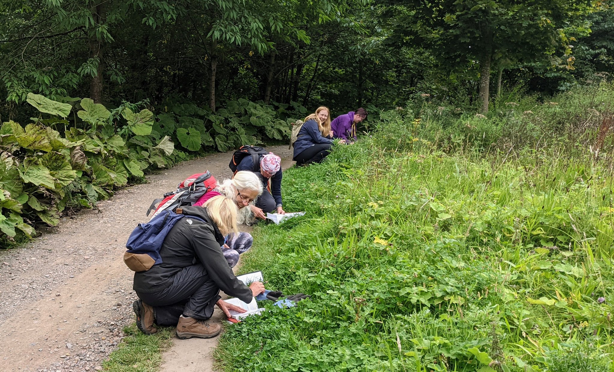 Marvelous Meadows » The Water of Leith Conservation Trust