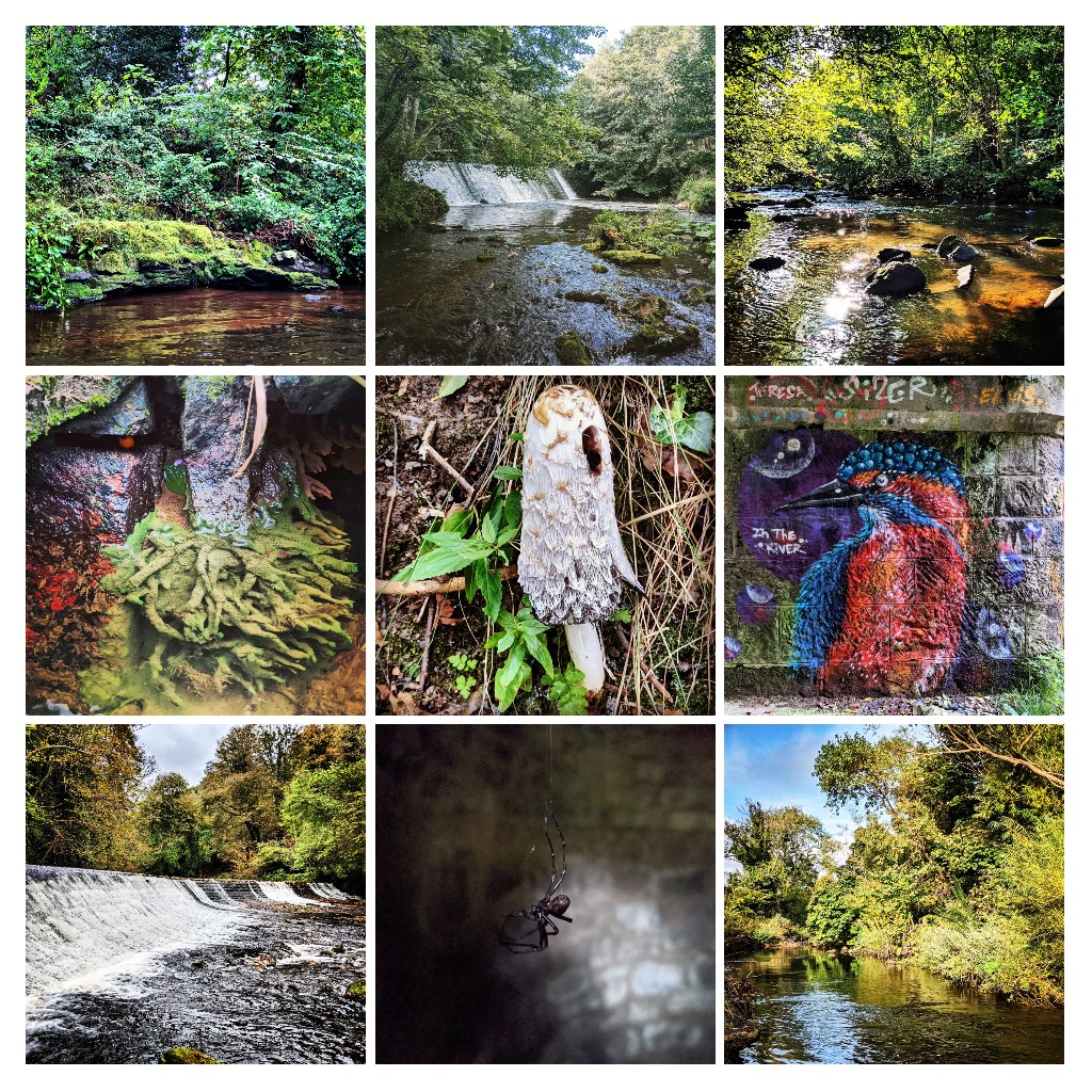 It Is All About the Journey! Wading the river on the hunt for Litter ...