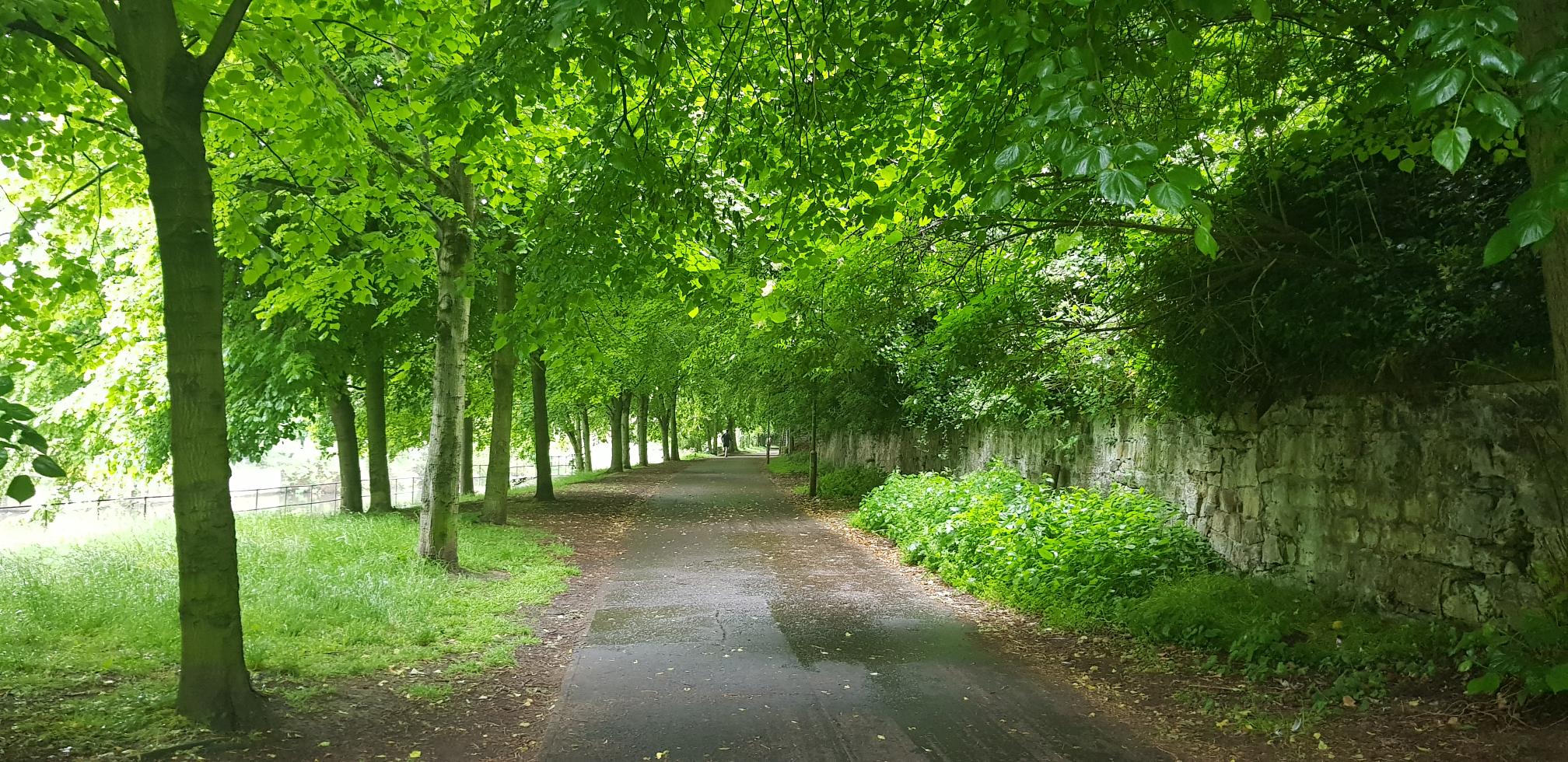 Coalie Park born in the 80s, plans to revitalise the area 40 years on ...